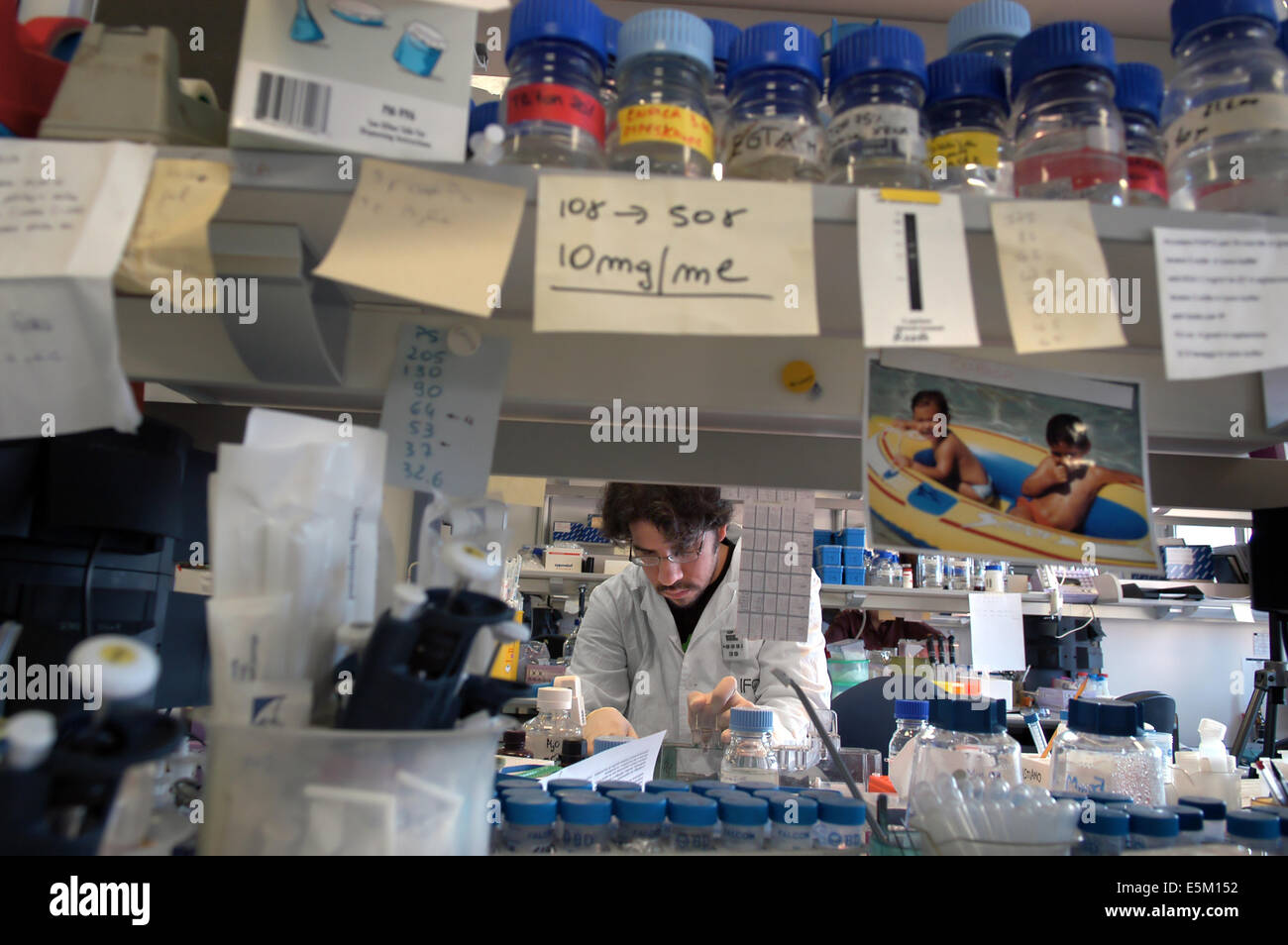 Milan (Italy), IFOM (Institute FIRC of Molecular Oncology), search ...