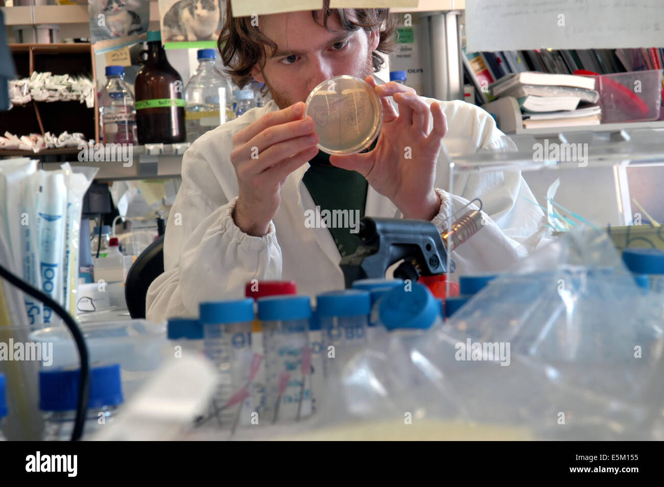 Oncology hi-res stock photography and images - Alamy