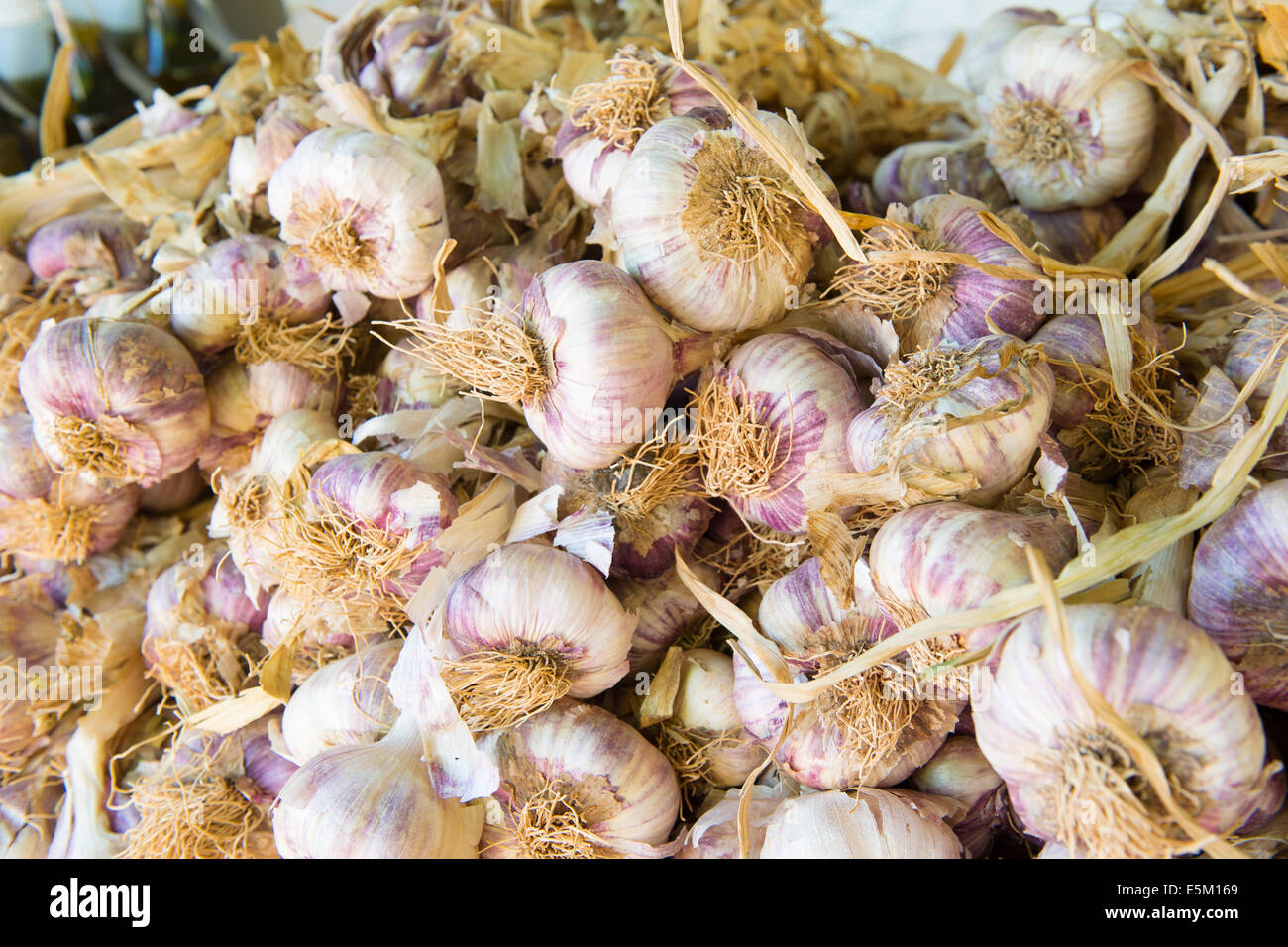 many white garlic at the market Stock Photo - Alamy