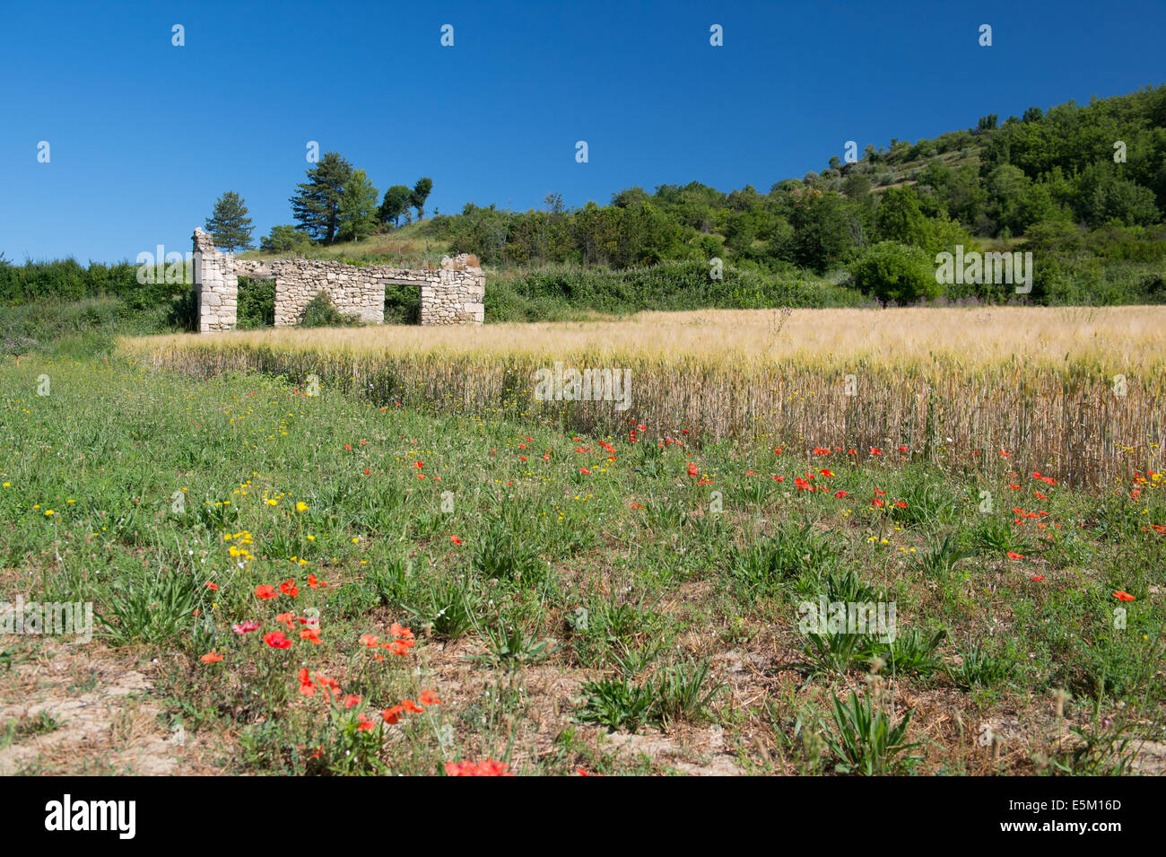 Inhabitable house hi-res stock photography and images - Alamy