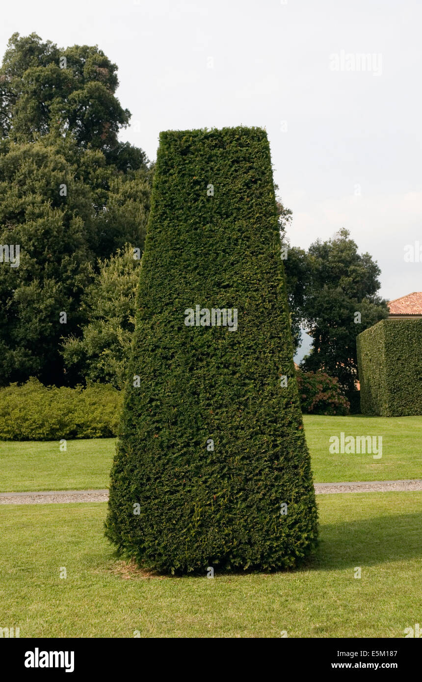 Topiary tree hi-res stock photography and images - Alamy