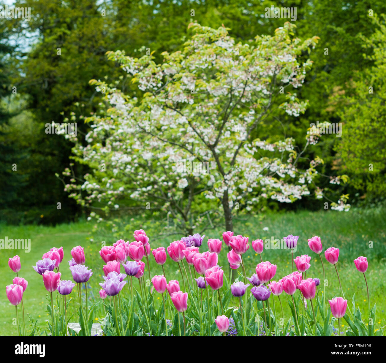 Great Dixter, East Sussex, UK, the famous garden created by Christopher ...