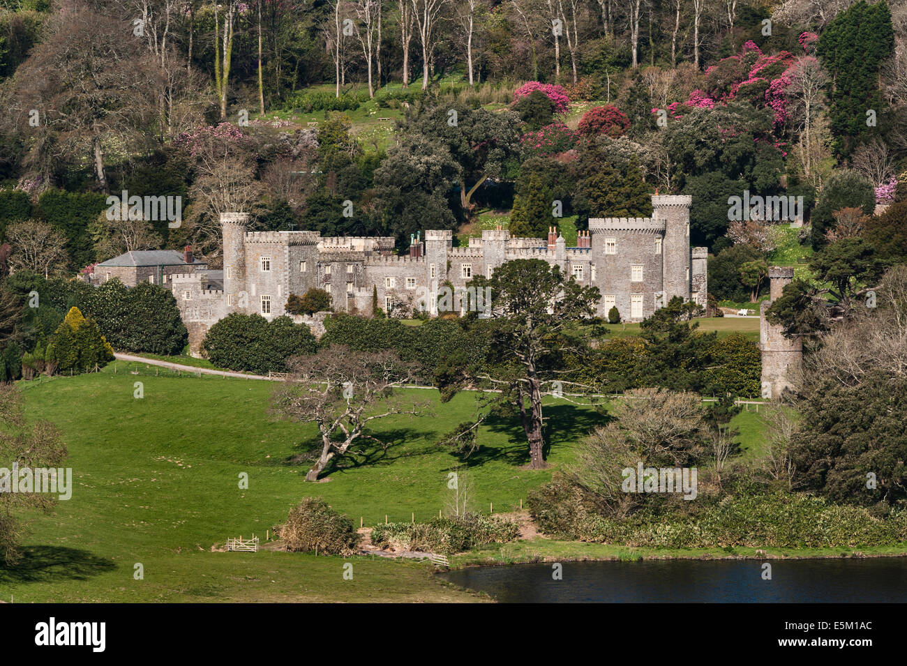 Caerhays Castle, Cornwall. The castle was built c.1810. The gardens ...