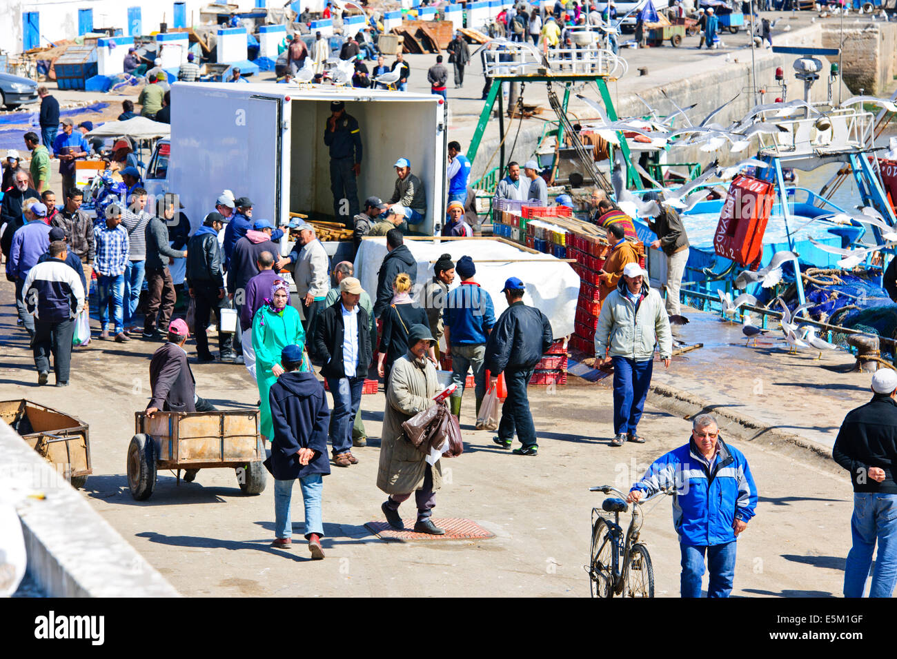 Very Busy Fishing Port,Atlantic Coast,some 250 Species,Fish Caught ...