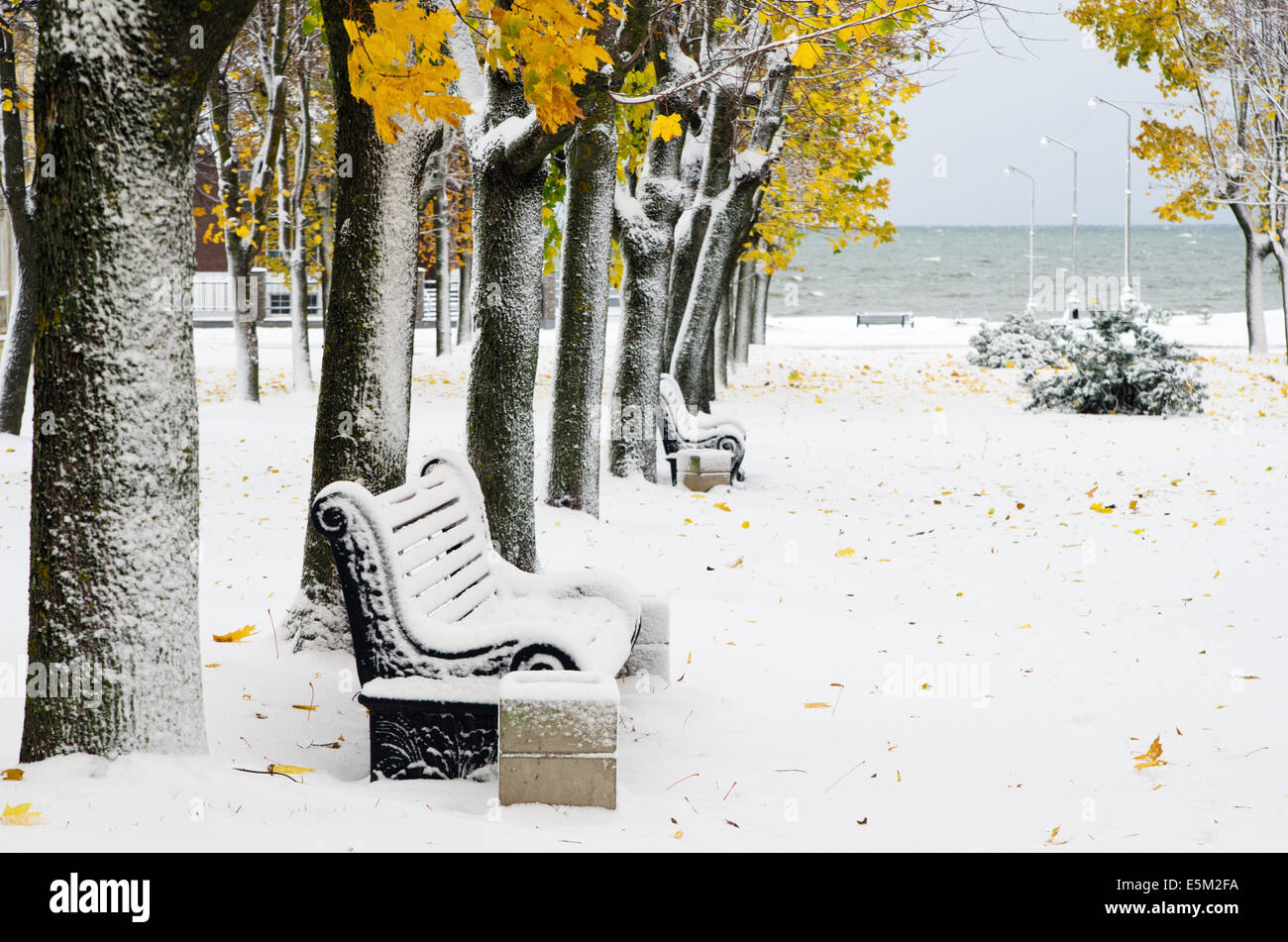 Alley in the Park later in the autumn. Snow storm Stock Photo - Alamy