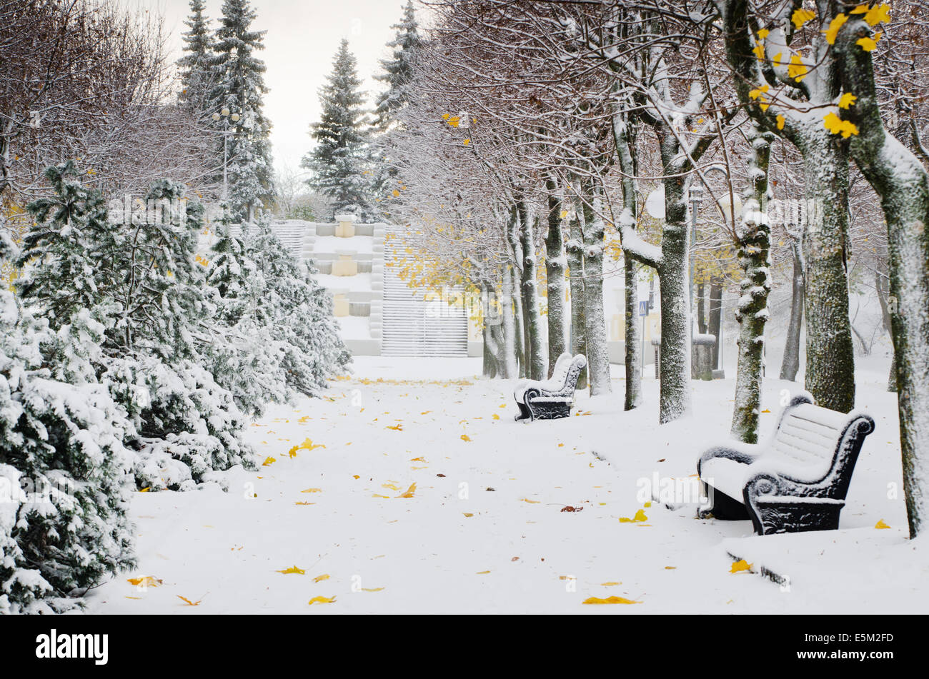 Alley in the Park later in the autumn. Snow storm Stock Photo - Alamy