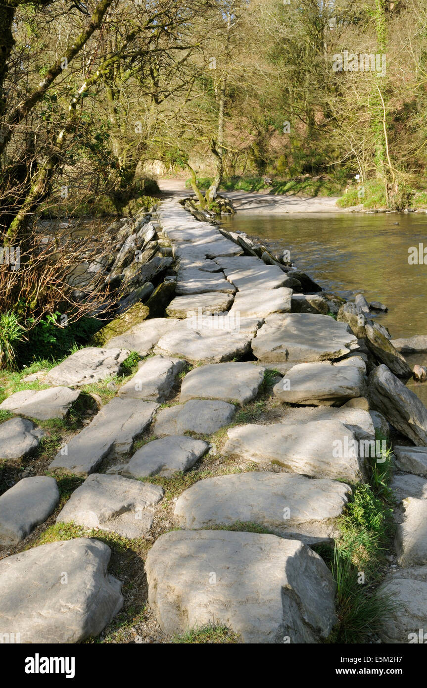 River side steps hi-res stock photography and images - Alamy