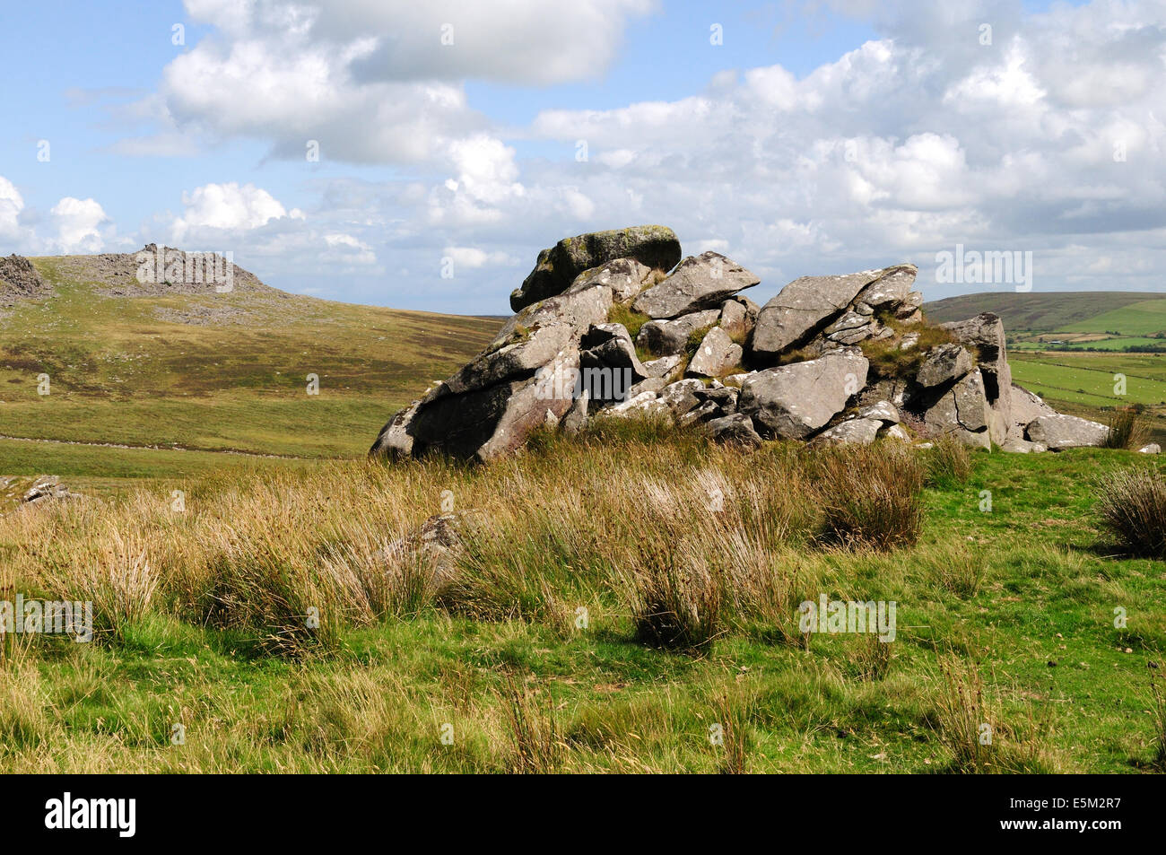 Carn Arthur outcrop of spotted dolerite Preseli Hills Pembrokeshire ...