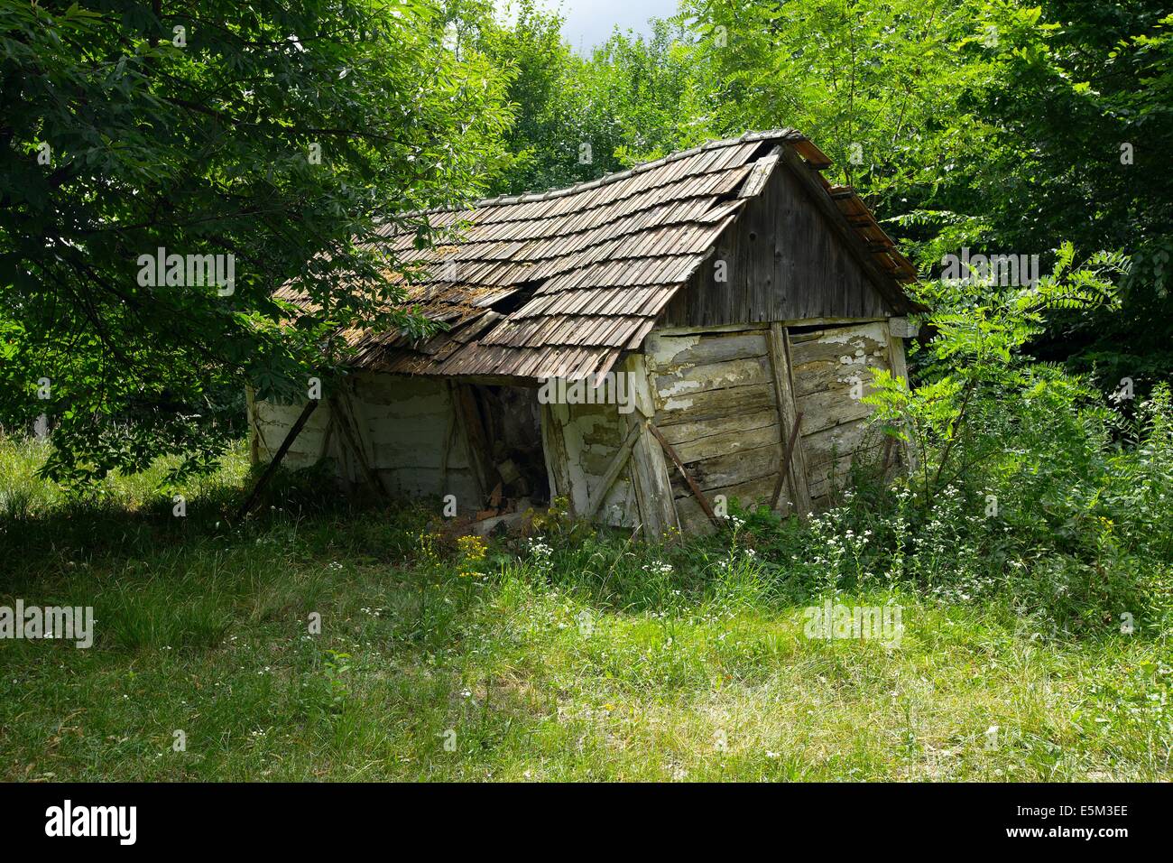 Small forest hut hi-res stock photography and images - Alamy