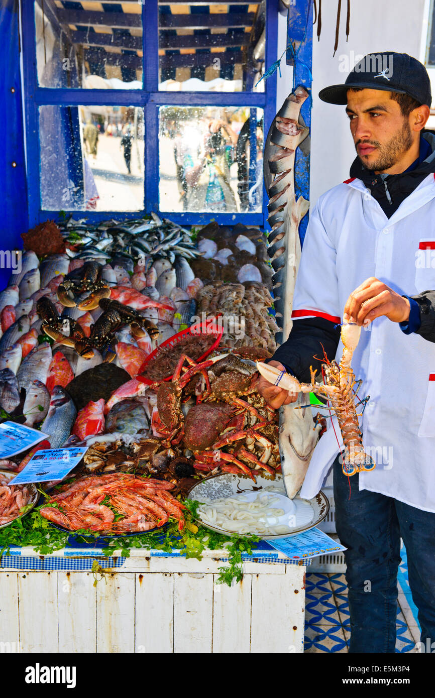 Very Busy Fishing Port,Atlantic Coast,some 250 Species,Fish Caught ...