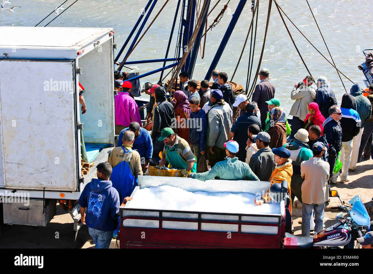 Very Busy Fishing Port,Atlantic Coast,some 250 Species,Fish Caught ...