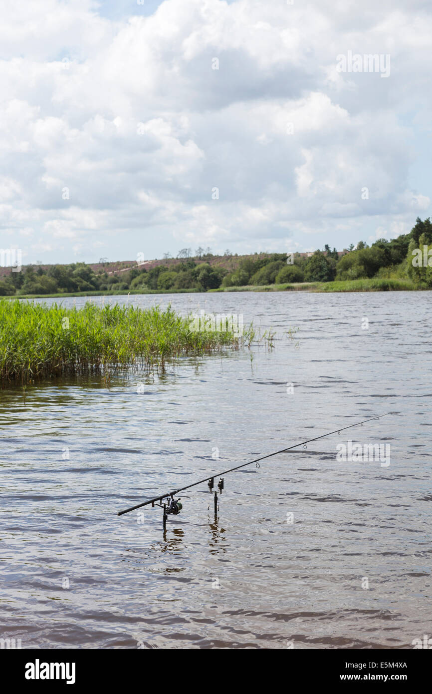 Fishing rod set up for use at Frensham Little Pond, Farnham, Hampshire ...