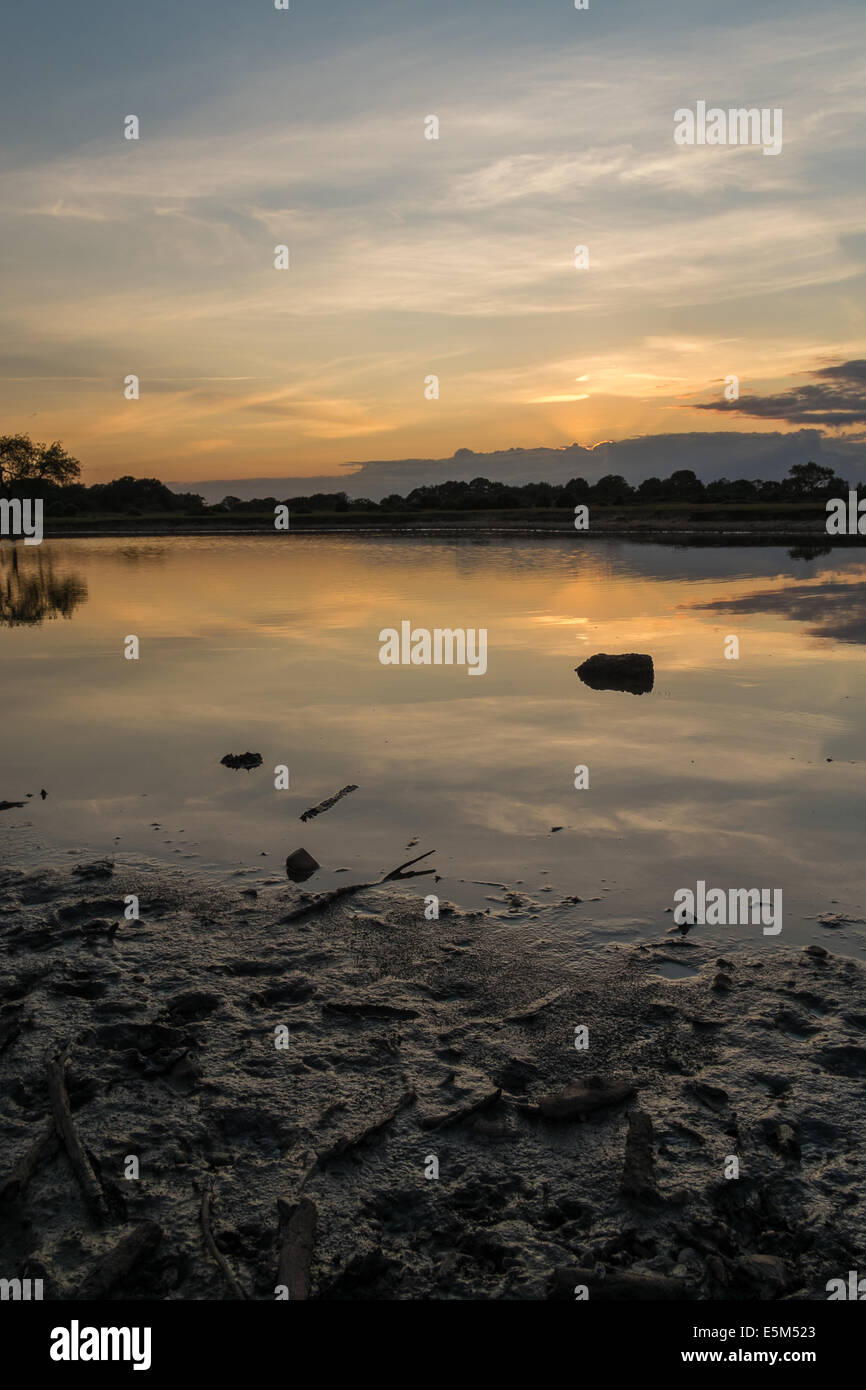 Stoney cross new forest hi-res stock photography and images - Alamy