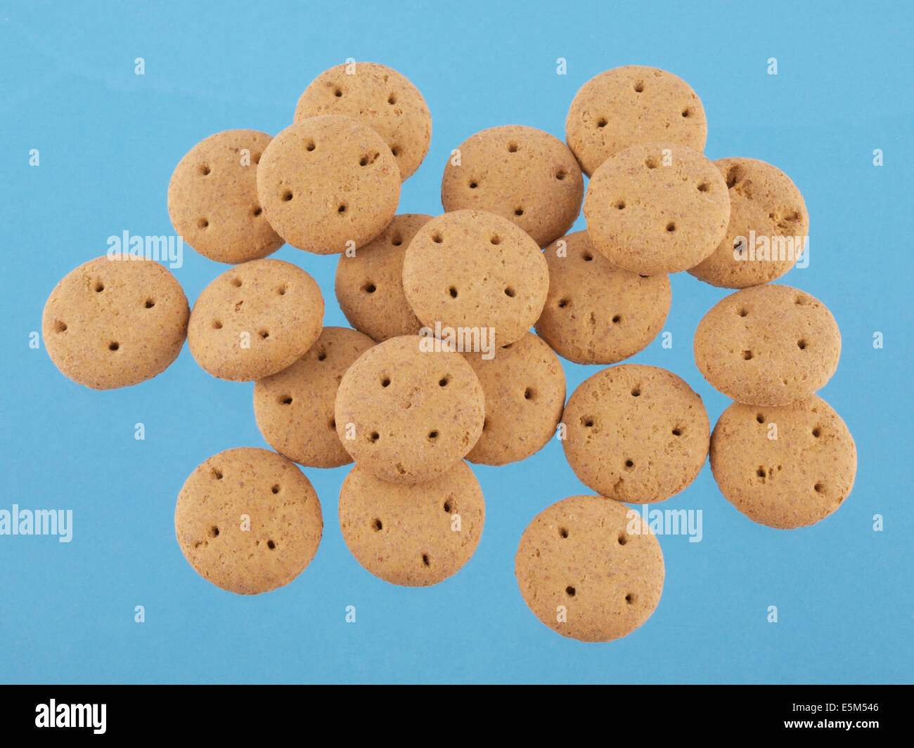 Close up of round dog biscuits on a blue background Stock Photo - Alamy