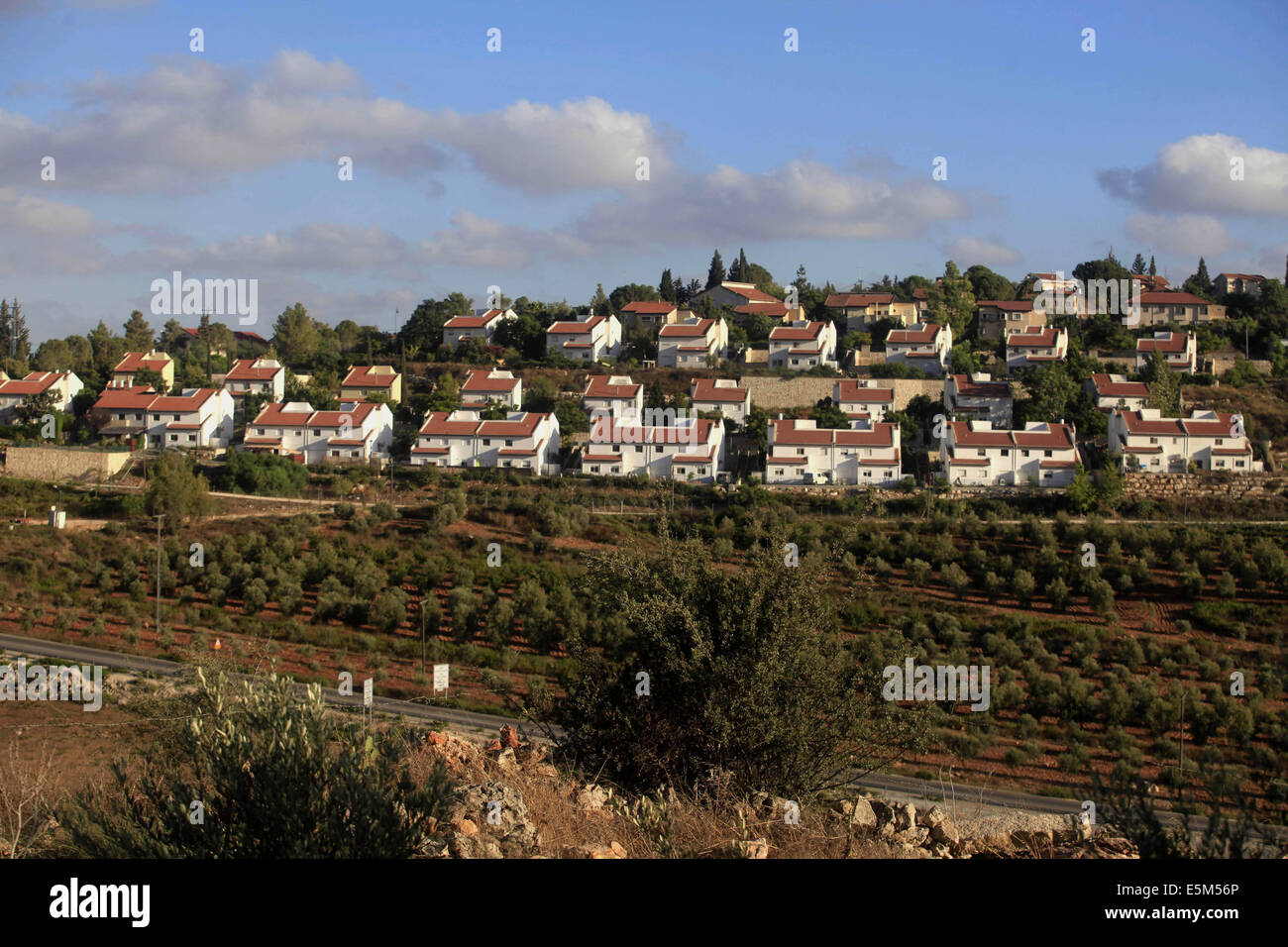 Ramallah, West Bank, Palestinian Territory. 3rd Aug, 2014. A picture ...