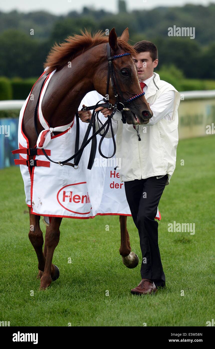 Duesseldorf, Germany. 03rd Aug, 2014. The winning horse Fedora is led ...