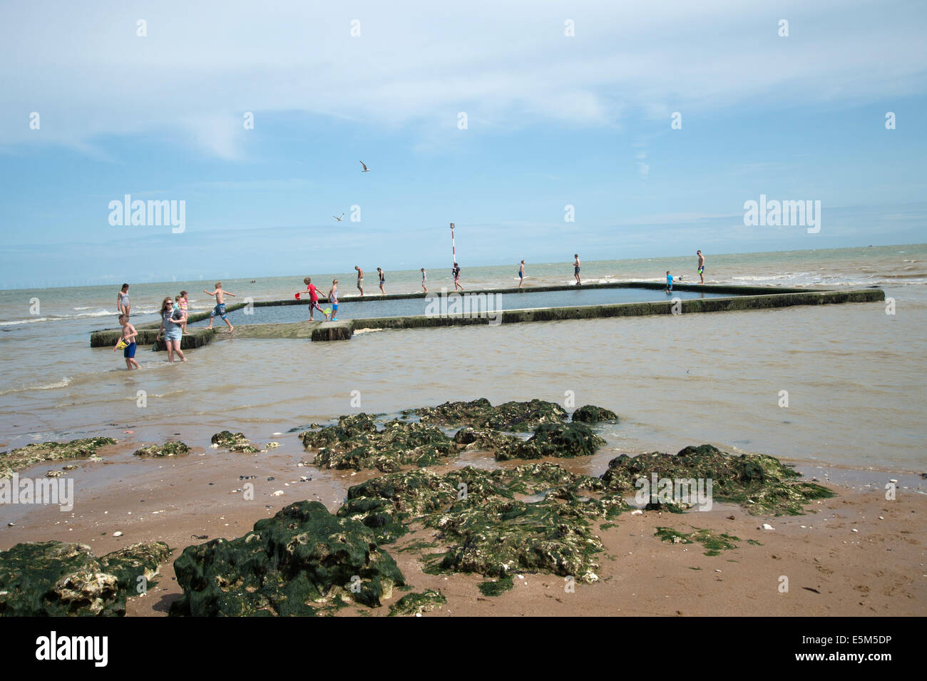 Tide pool rocks hi-res stock photography and images - Alamy