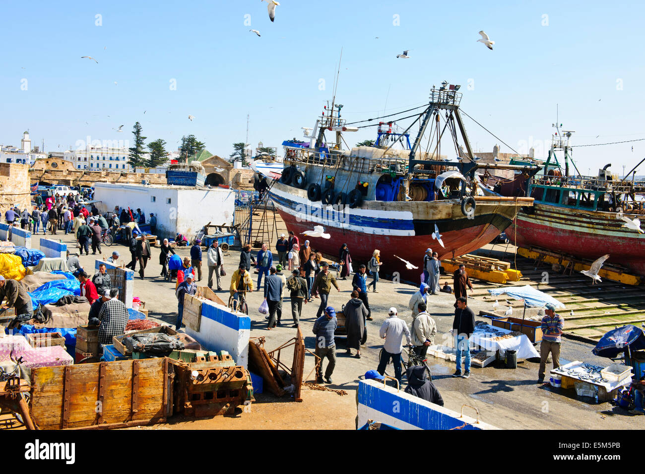 Very Busy Fishing Port,Atlantic Coast,some 250 Species,Fish Caught ...