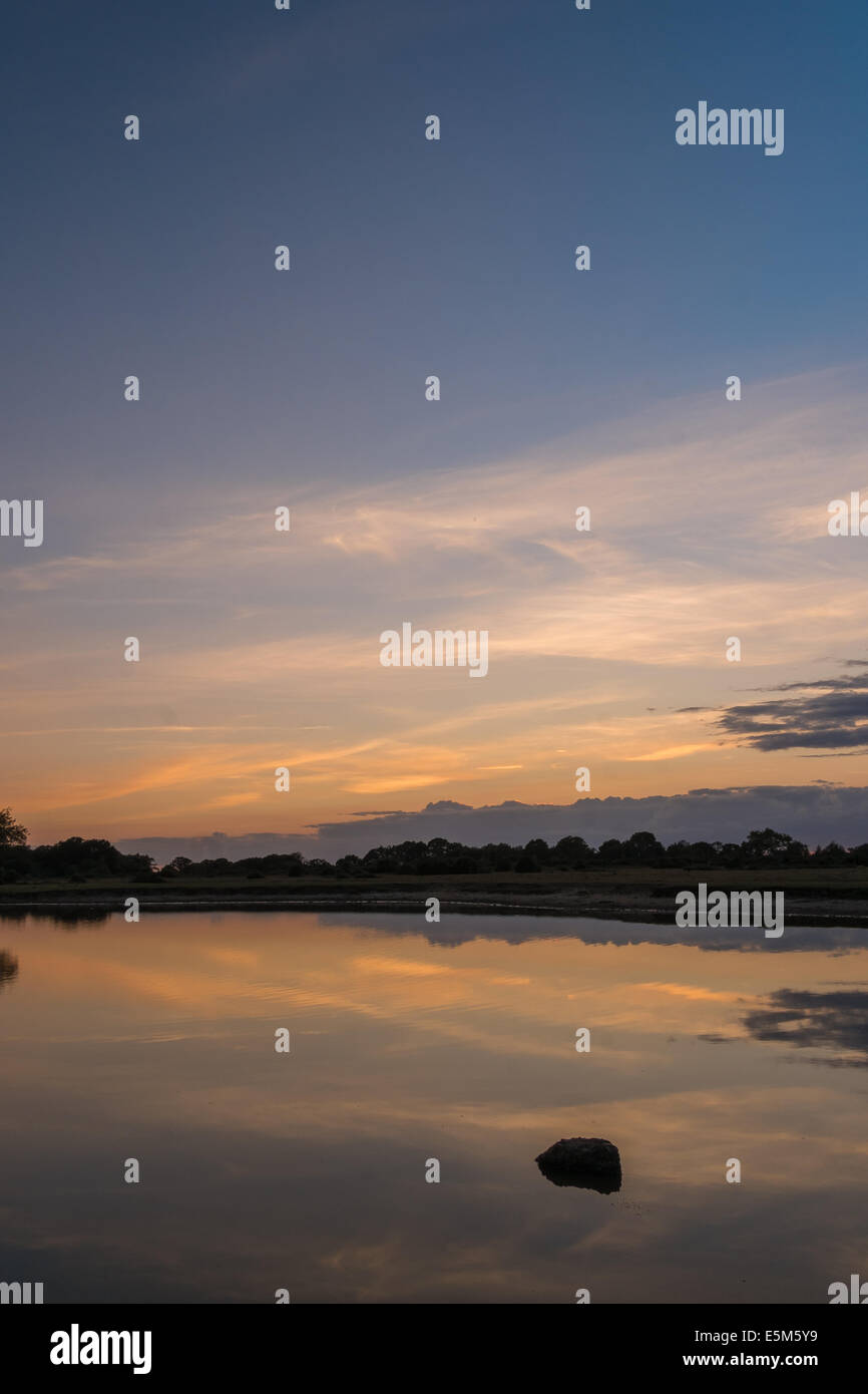 New forest stoney cross hi-res stock photography and images - Alamy