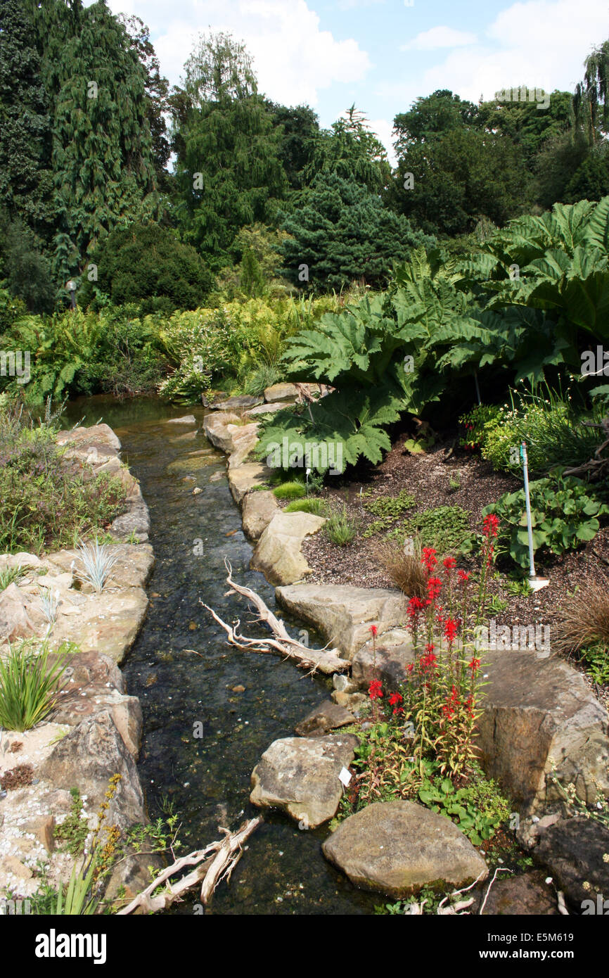 A peaceful oasis in botanical garden on a late summer day Stock Photo ...