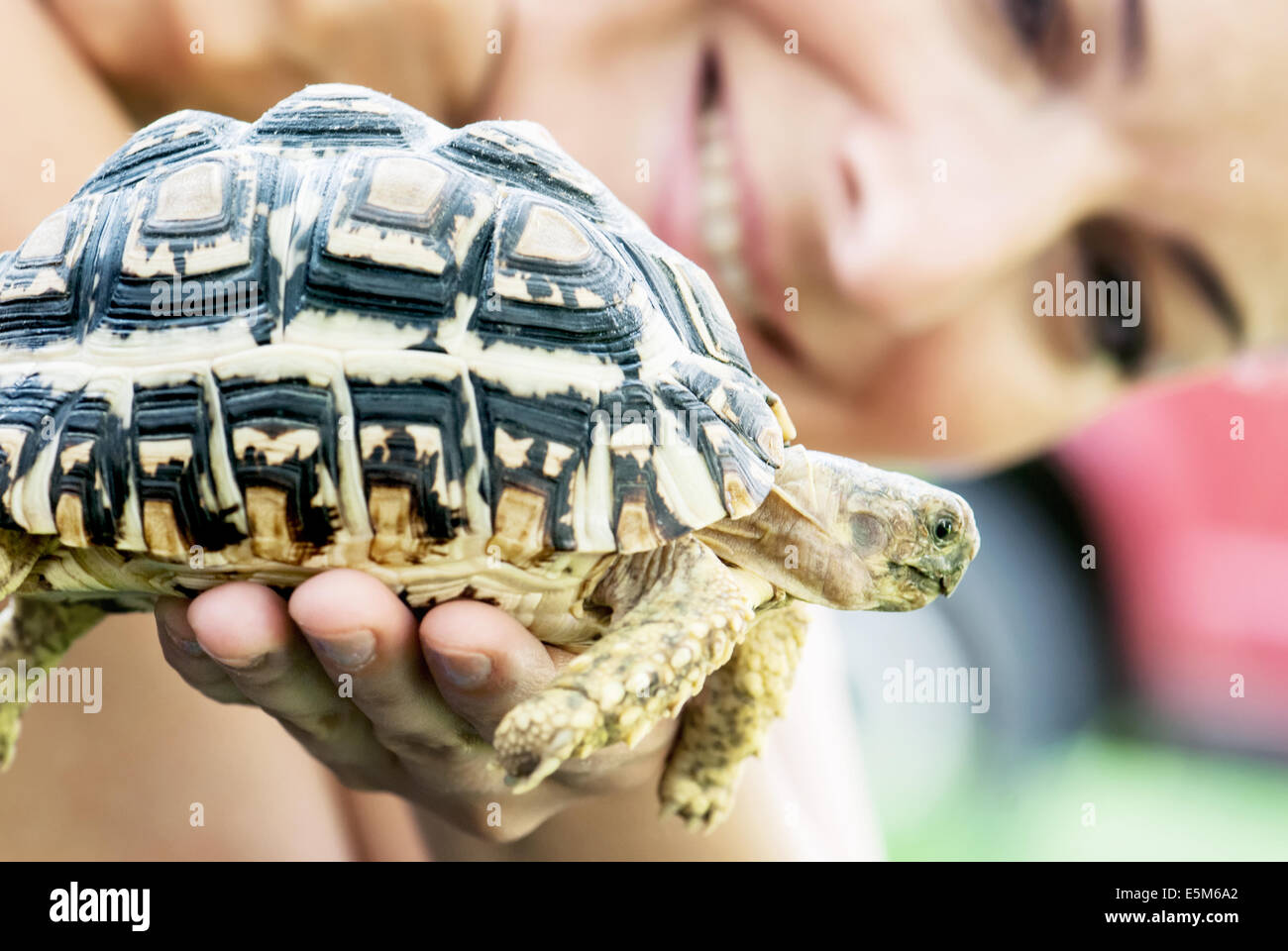Woman hold a turtle hi-res stock photography and images - Alamy