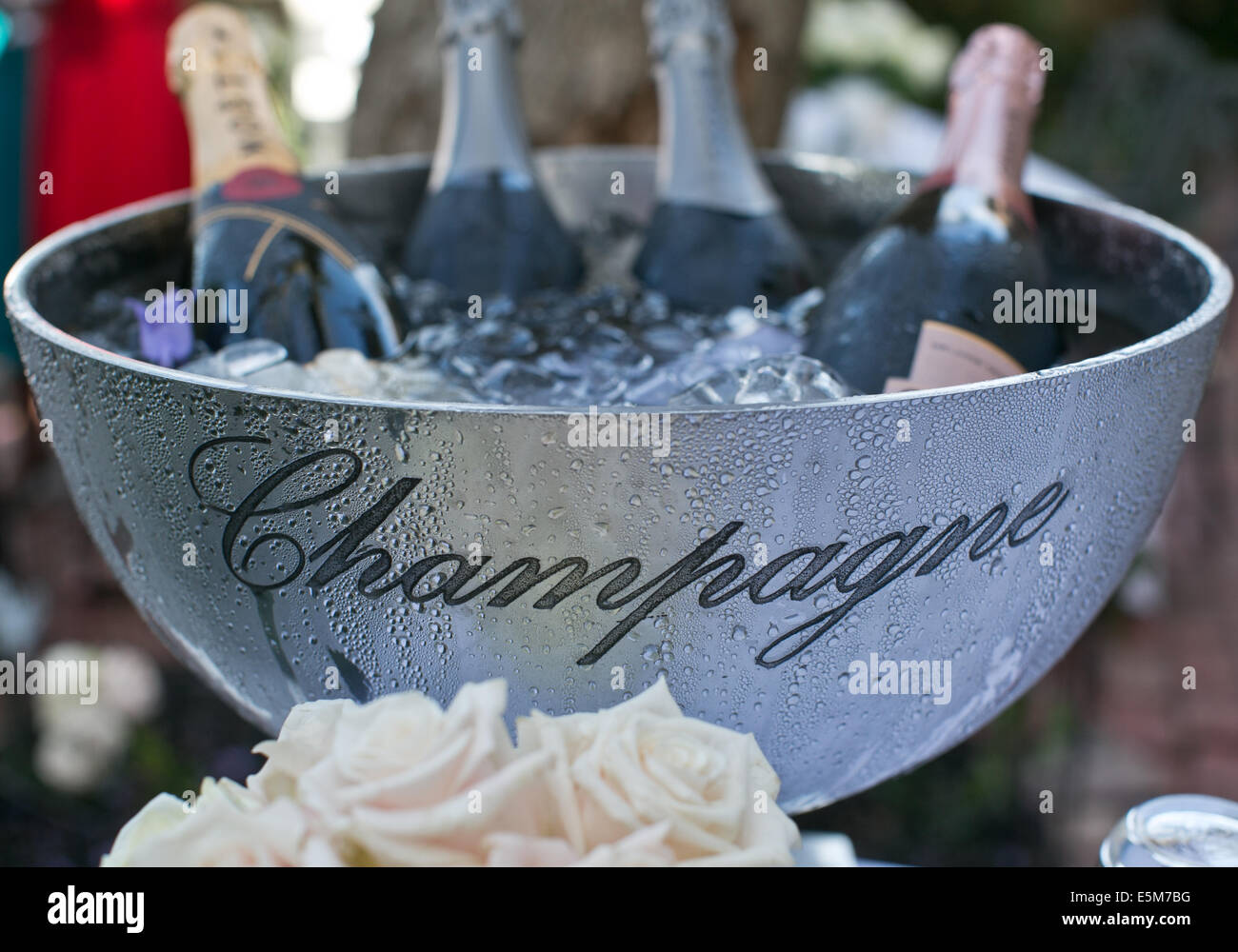Champagne bucket at a summer wedding Stock Photo - Alamy