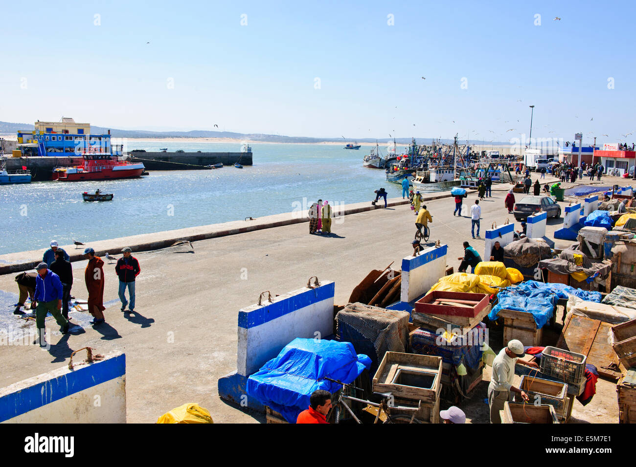 Very Busy Fishing Port,Atlantic Coast,some 250 Species,Fish Caught ...