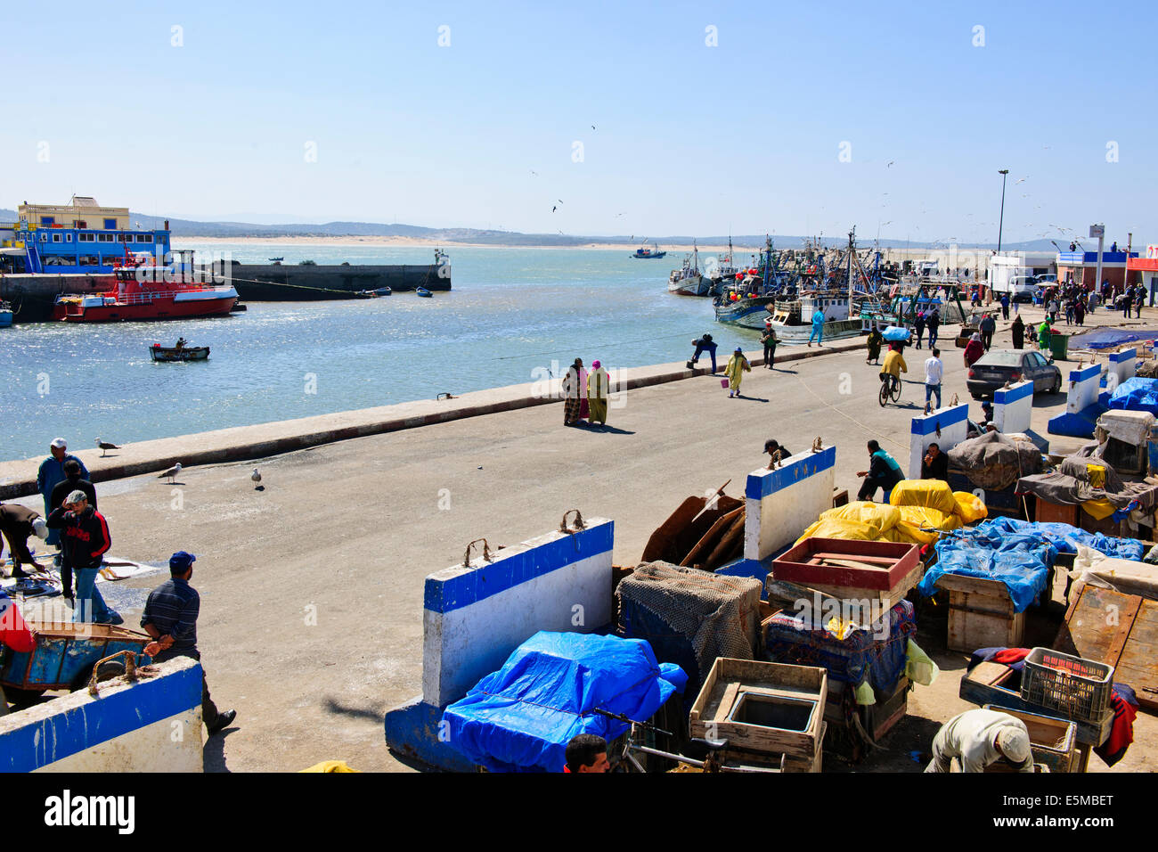 Very Busy Fishing Port,Atlantic Coast,some 250 Species,Fish Caught ...
