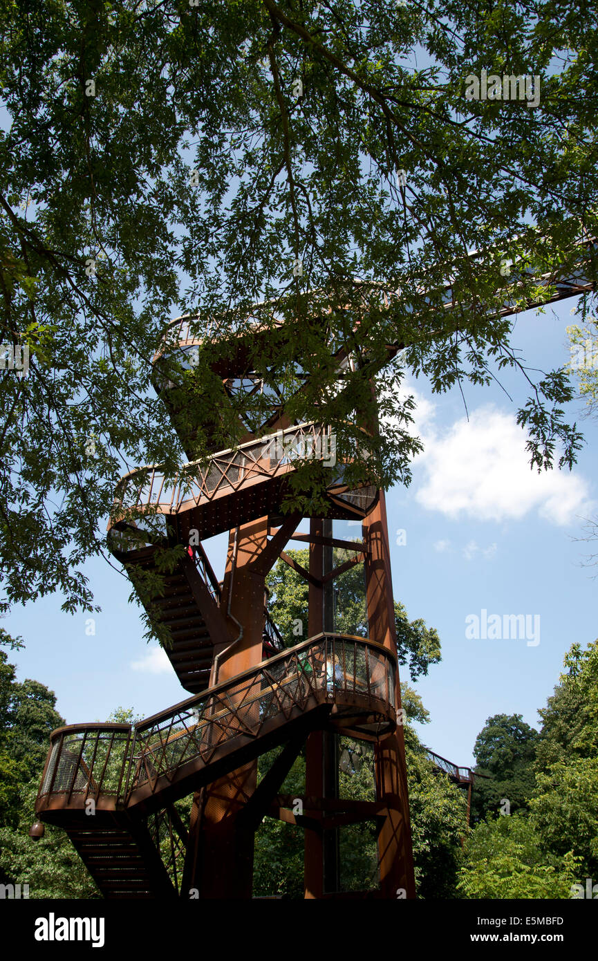 Treetop walk hi-res stock photography and images - Alamy