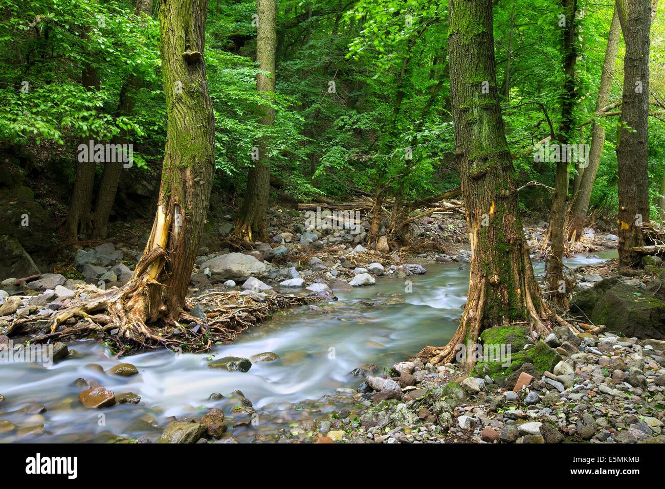 Stream with beautiful rocks hi-res stock photography and images - Alamy