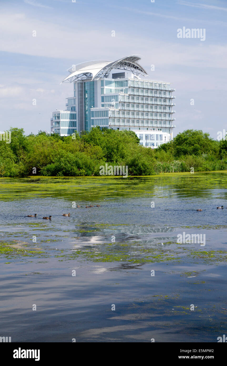 Cardiff bay wetland nature reserve hi-res stock photography and images ...