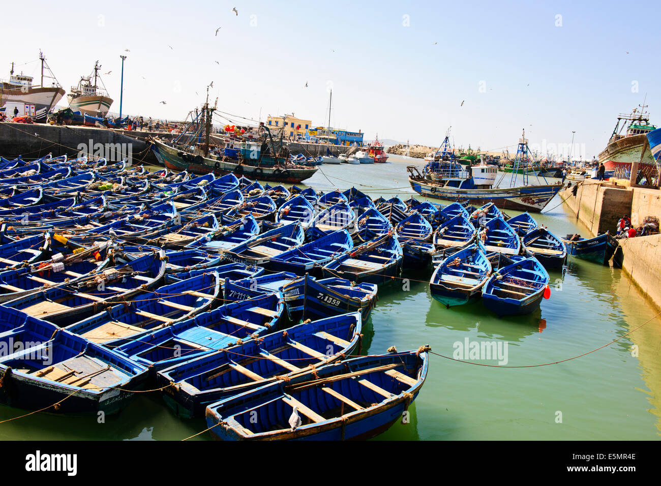 Very Busy Fishing Port,Atlantic Coast,some 250 Species,Fish Caught ...