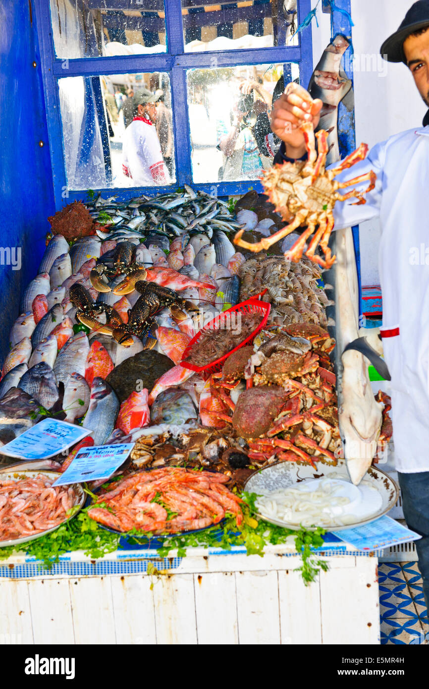 Very Busy Fishing Port,Atlantic Coast,some 250 Species,Fish Caught ...