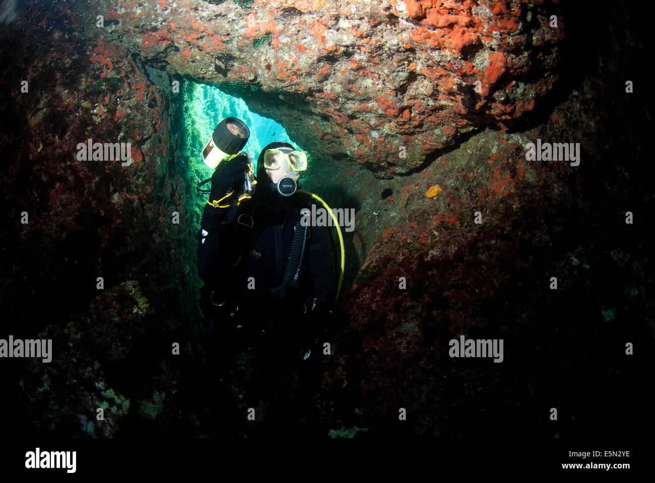 Young Scuba Diver High Resolution Stock Photography and Images - Alamy