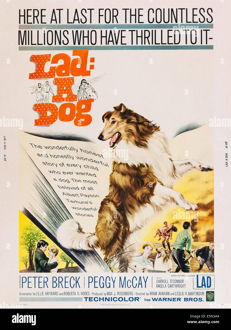 LAD: A DOG, 1962 Stock Photo - Alamy