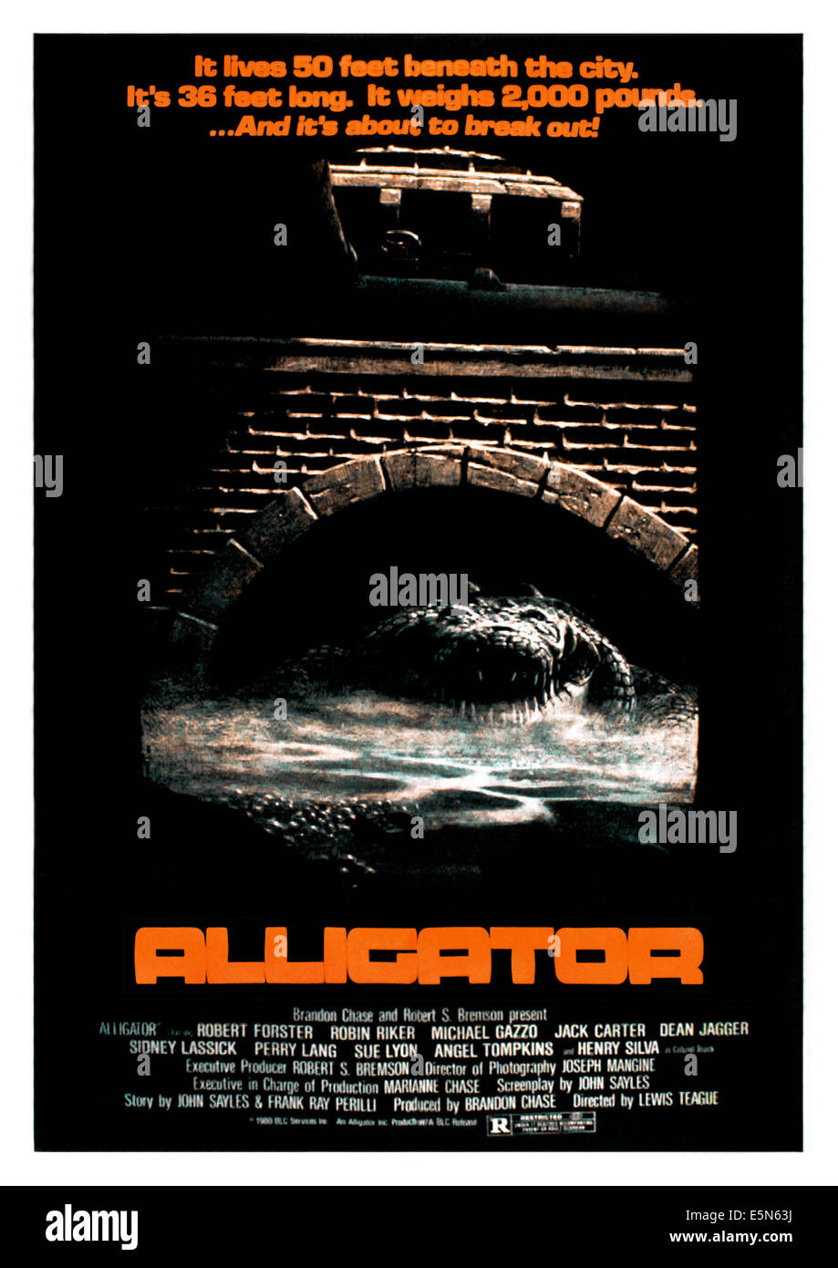 1980s horror movie poster hi-res stock photography and images - Alamy