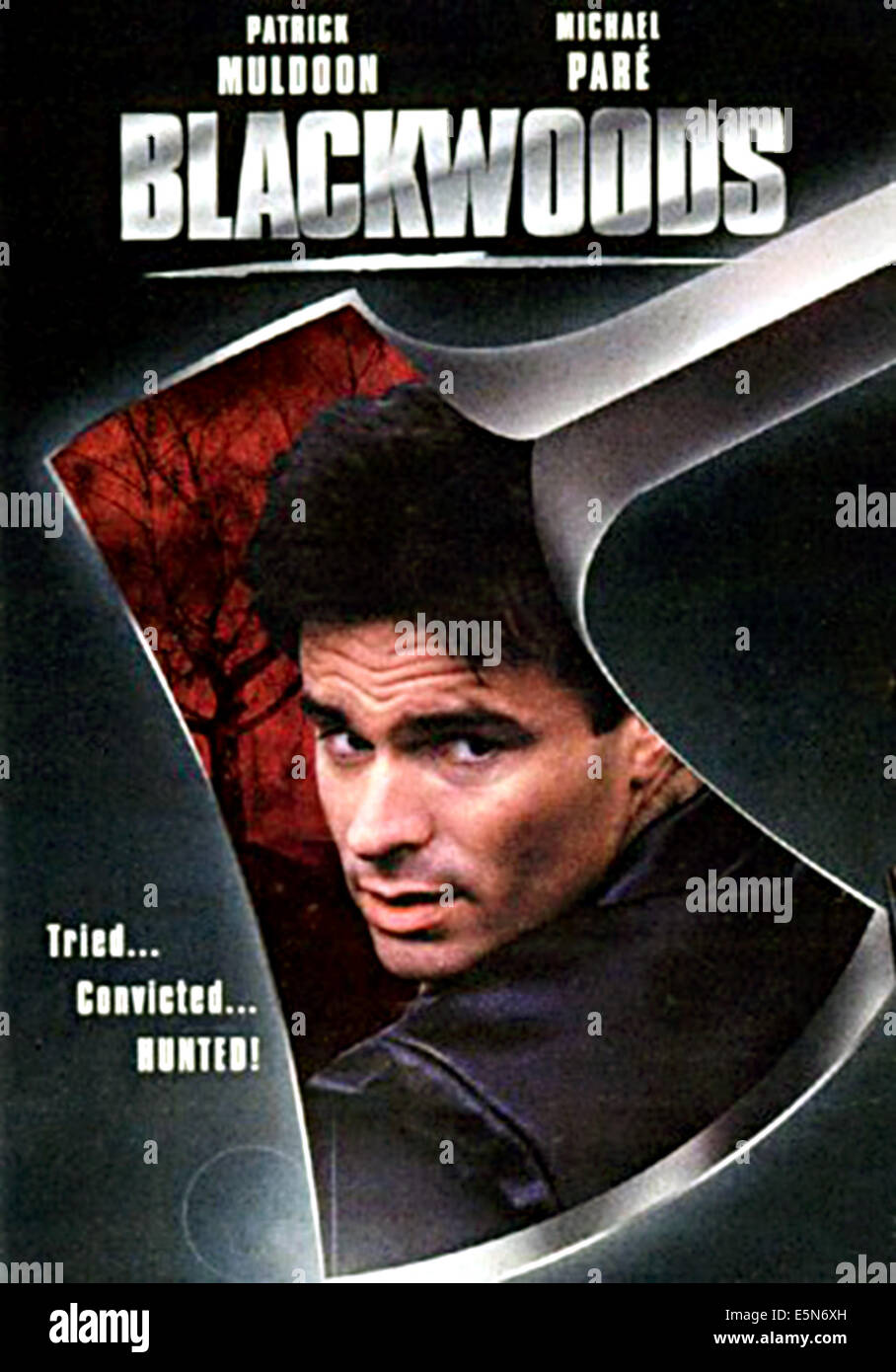 BLACKWOODS, Patrick Muldoon, poster art, 2002 Stock Photo - Alamy