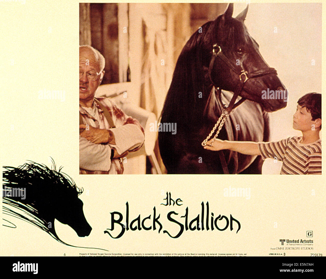 Black Stallion Movie Mickey Rooney