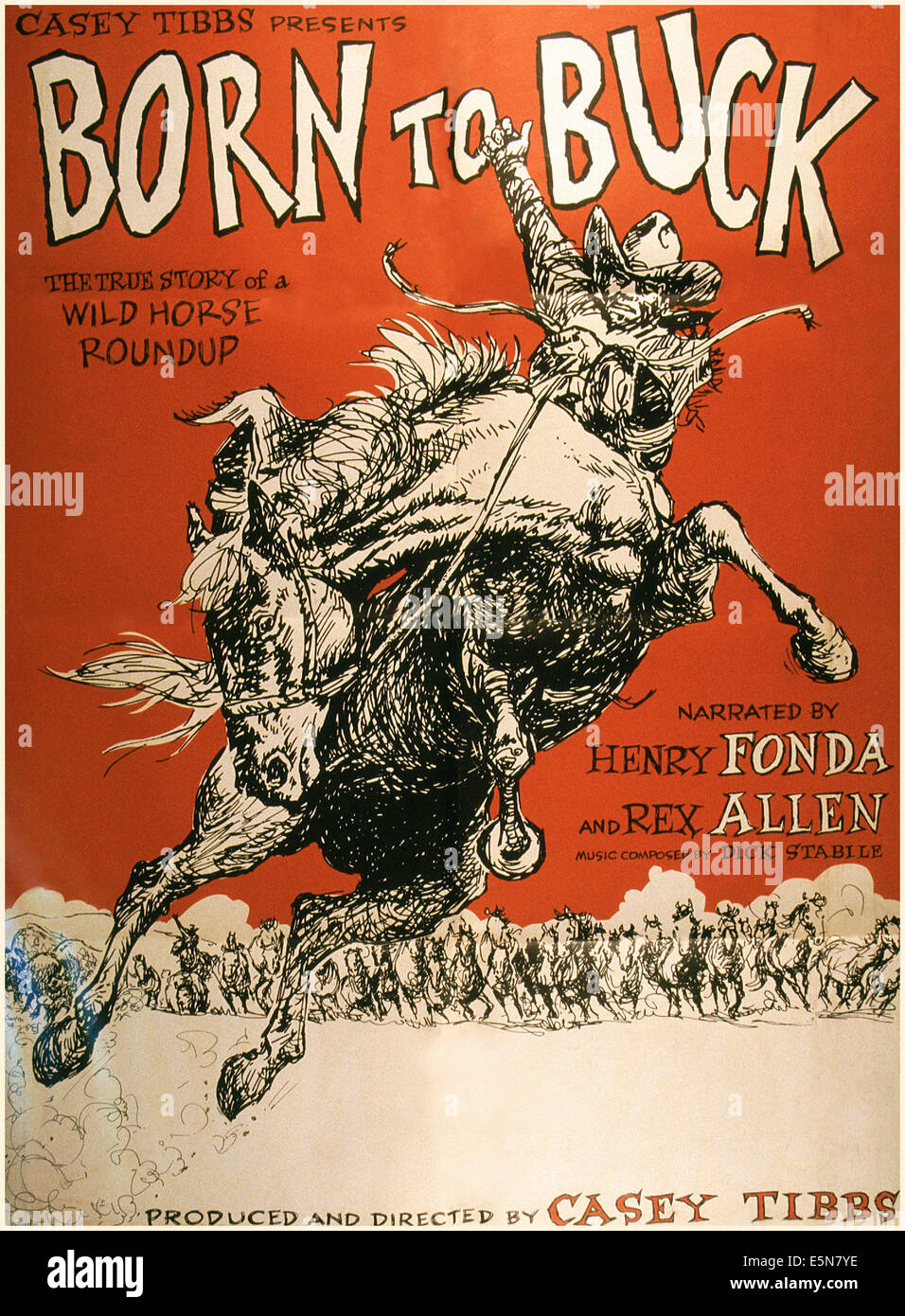 BORN TO BUCK, U.S. poster, 1966 Stock Photo - Alamy