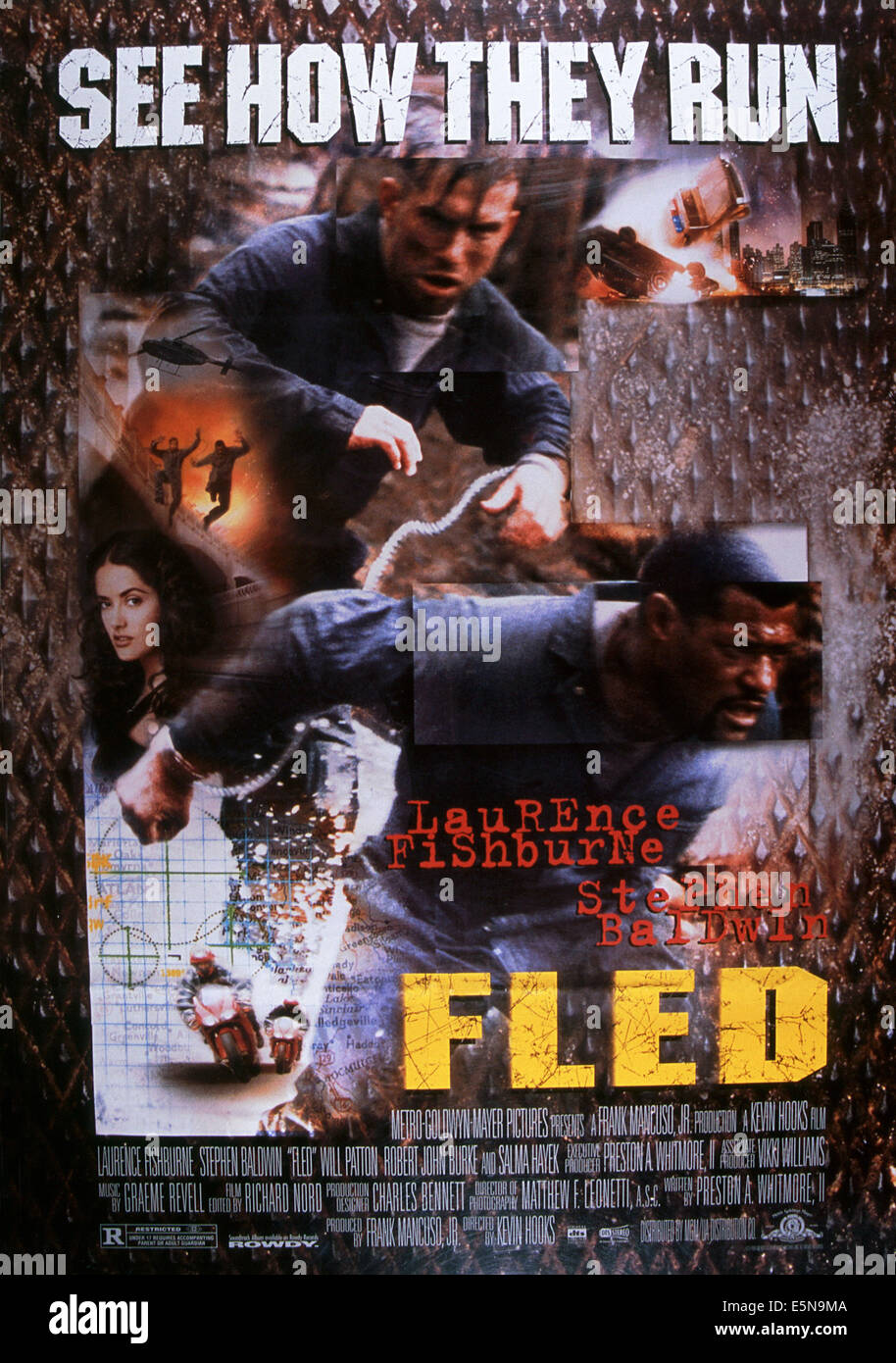 Laurence Fishburne Poster High Resolution Stock Photography and Images ...