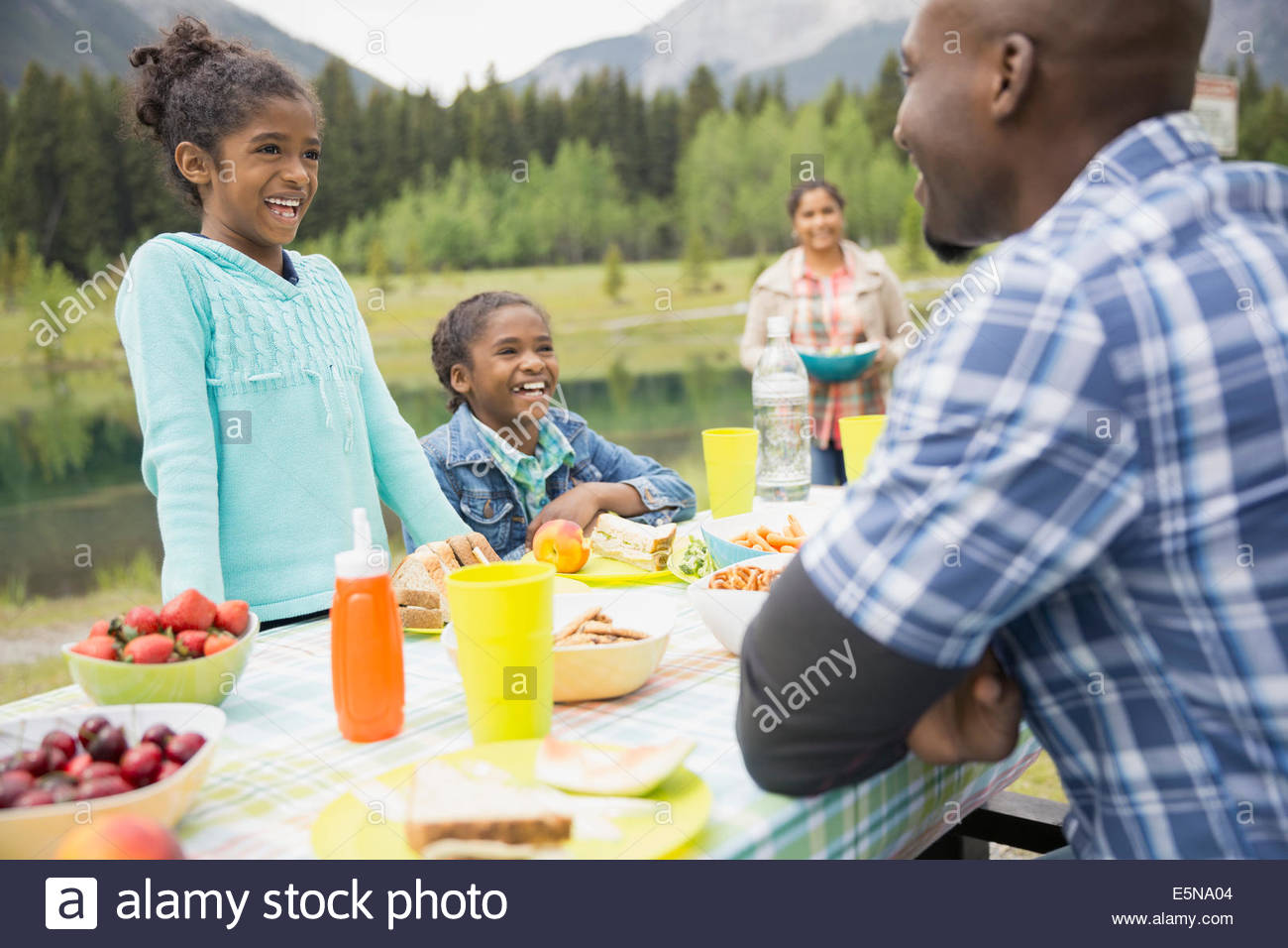 Family eating at picnic table Stock Photo - Alamy