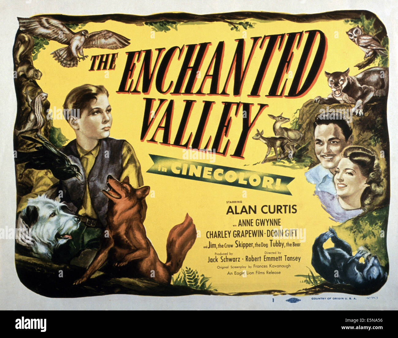 Donn gift hi-res stock photography and images - Alamy