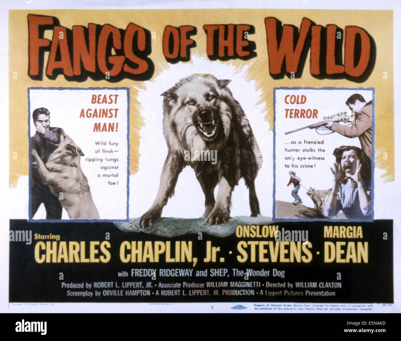 FANGS OF THE WILD, Margia Dean (bottom right), 1954 Stock Photo - Alamy