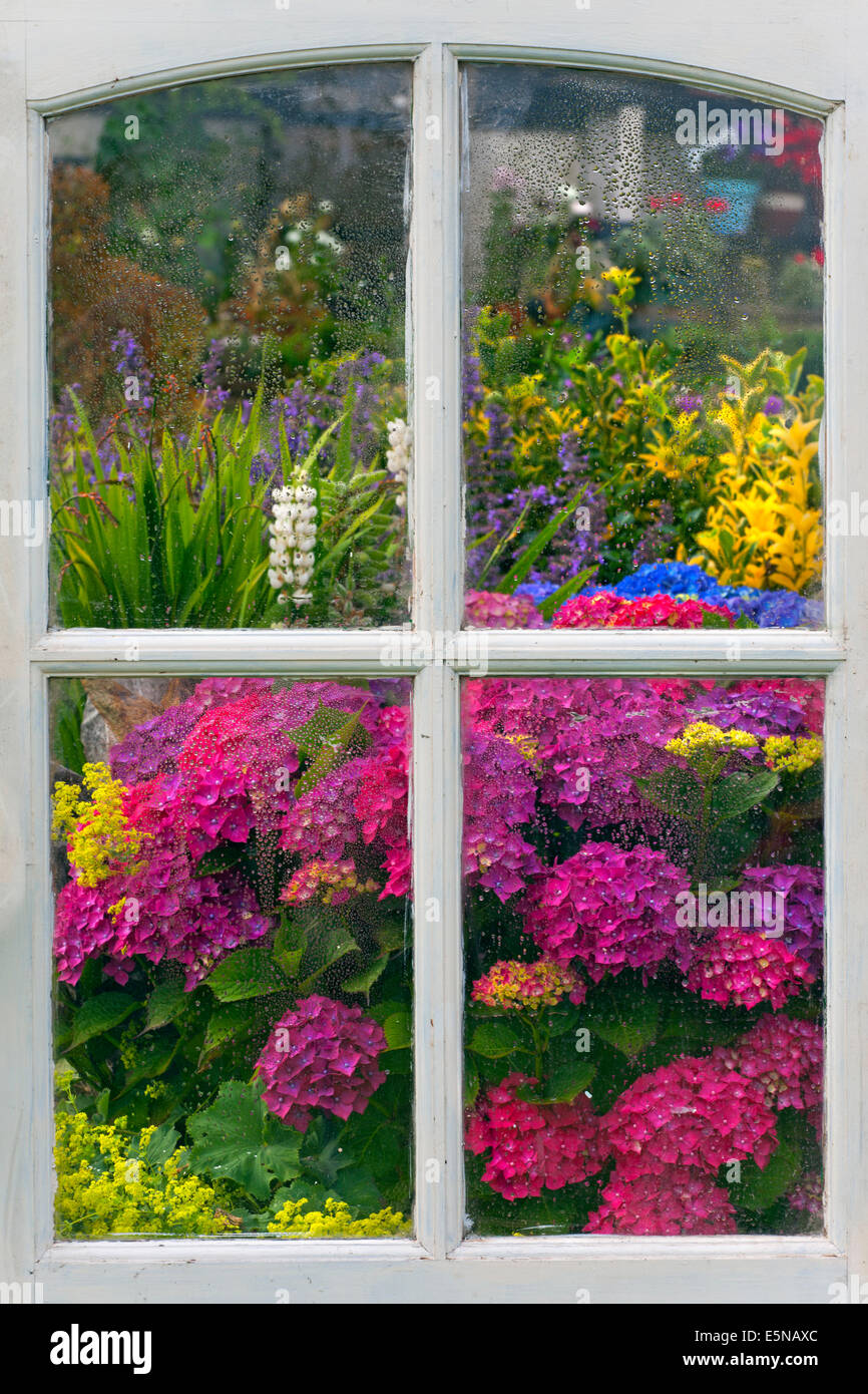 Glass Window And Distortion Stock Photos & Glass Window And Distortion ...