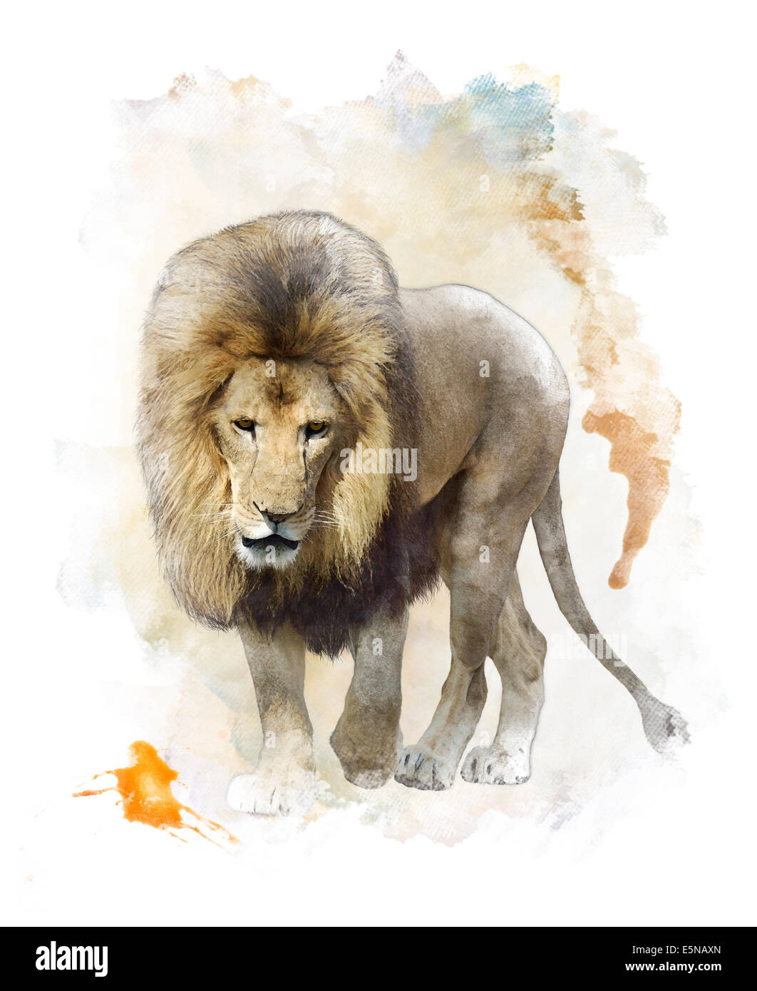 Animal painting lion Cut Out Stock Images & Pictures - Alamy