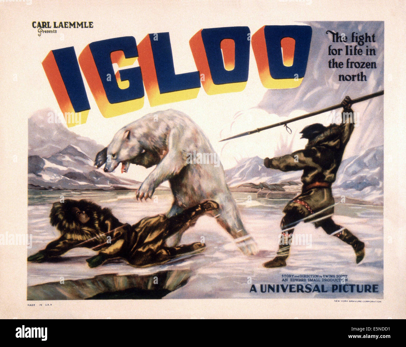 Ice igloo bear hi-res stock photography and images - Alamy