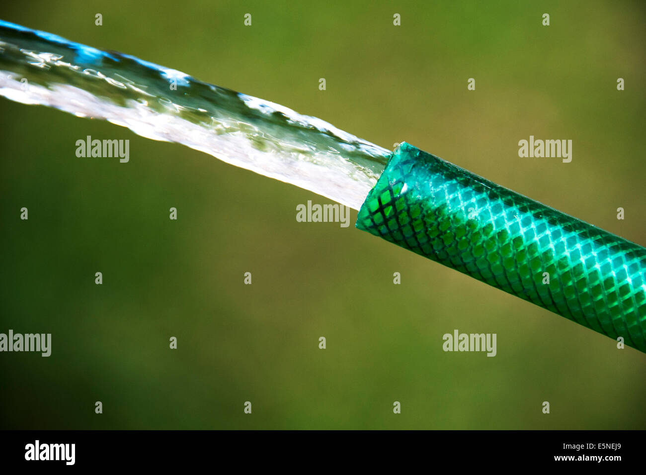 Garden hose shooting water on green background Stock Photo - Alamy
