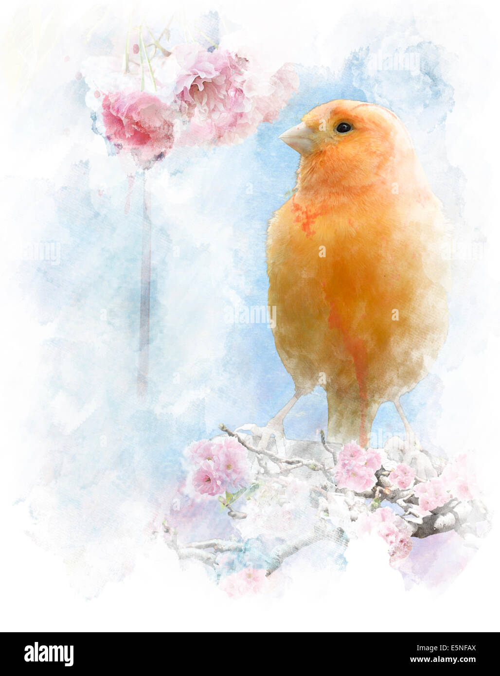 Watercolor digital painting yellow bird hi-res stock photography and ...