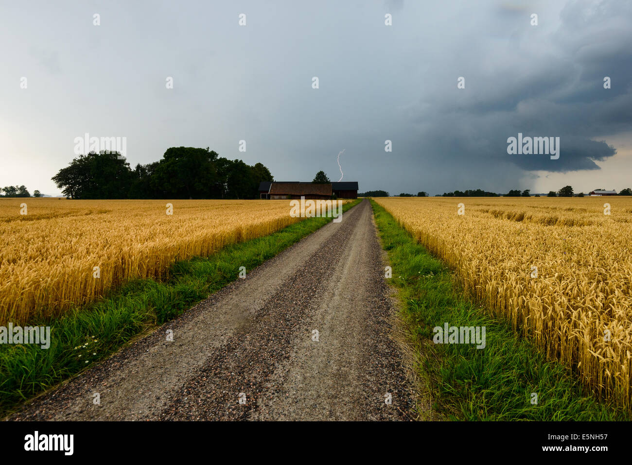 The lightning field hi-res stock photography and images - Alamy