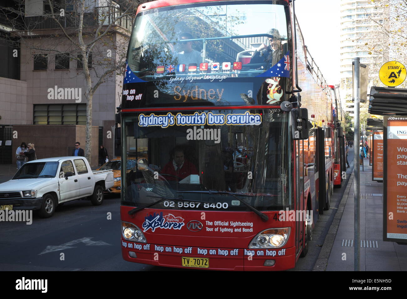 sydney explorer sightseeing bus at circular quay,sydney Stock Photo - Alamy